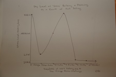 Less Yelling at my kids = Less Frustration | The Orange Rhino Challenge