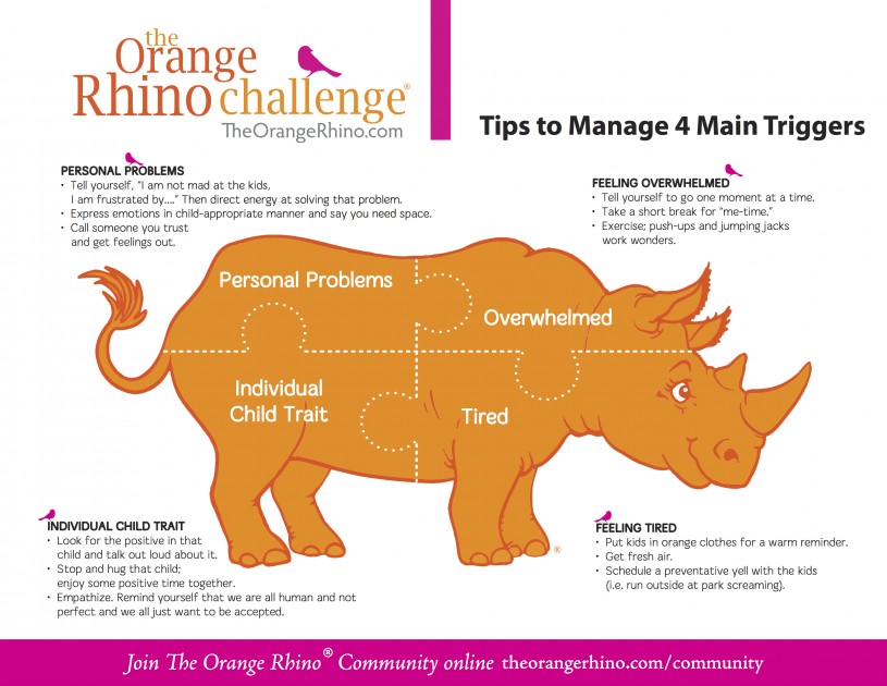 The Orange Rhino Tips to Manage 4 Main Triggers | The Orange Rhino ...
